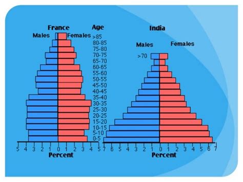 Pyramids And Demographic Transition