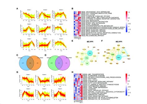 Temporal Clustering Analysis Of Macrophages And Microglia Following
