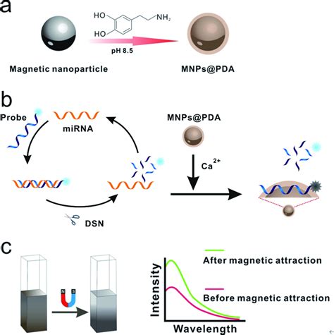 Schematic Principle Of Mnps Pda Based Fluorescent Sensing System For