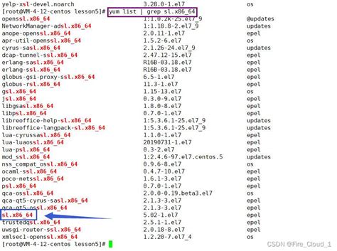linux 软件包管理器——yum的使用 linux yum y update csdn博客