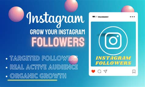 Organically Grow Your Instagram Account By Viralsign Fiverr