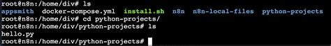 issue running a python script from execute command node on digitalocean