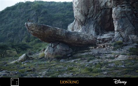 Lion King Pride Rock