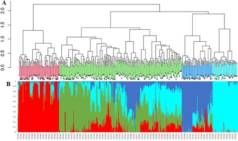 A Clustering Of 623 Sub Tropical Maize Inbred Lines Using Wards