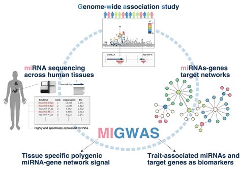 New Integrated Analytical Approach Reveals Mo Eurekalert