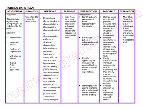 Nanda Nursing Care Plan