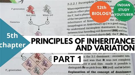Ncert Class 12th Biology Chapter 5th Principles Of Inheritance And