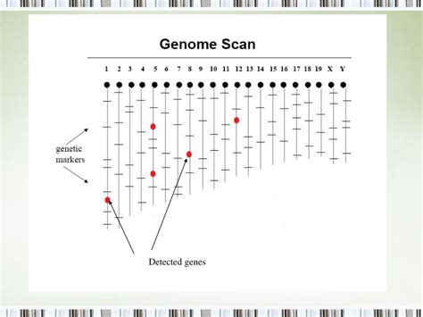 Ppt Bayesian Functional Mapping Of Complex Dynamic Traits Powerpoint