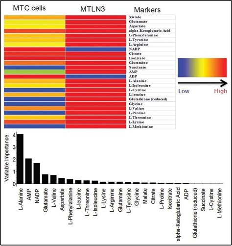 Profiling And Quantitation Of Metabolomic “signatures” For Breast