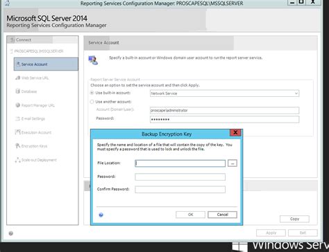 ax world error while setting server report parameters error message
