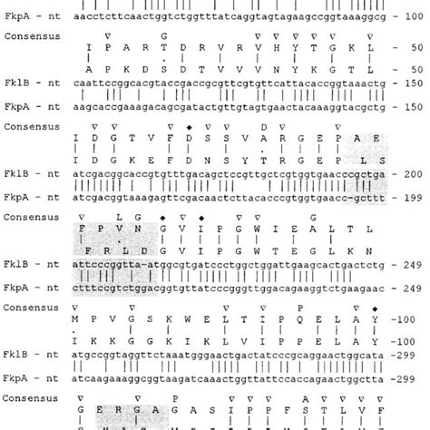 Comparison Of Nucleotide Sequences And Corresponding Amino Acid
