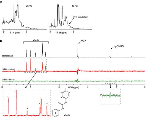 1d And Std Nmr Spectra Of Sars Cov 2 Mpro A Methyl Regions From ¹h Nmr