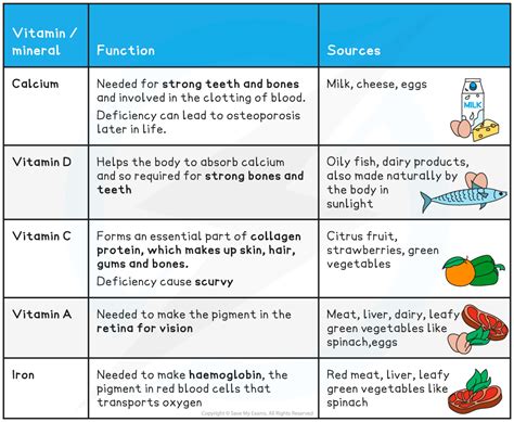 Edexcel Igcse Biology Double Science 复习笔记 2 5 7 Humans Balanced Diet
