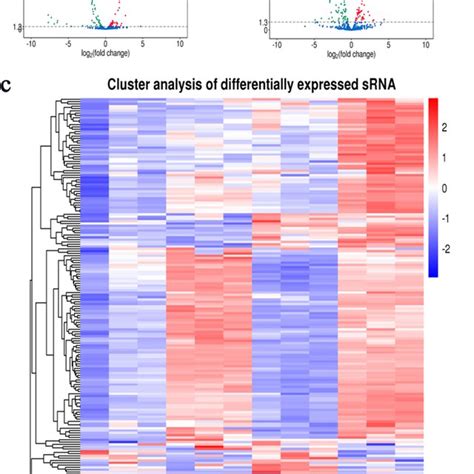 The Volcanoplot And Heatmap Of The Differentially Expressed Mirnas A