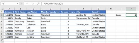 the countif function in excel goskills