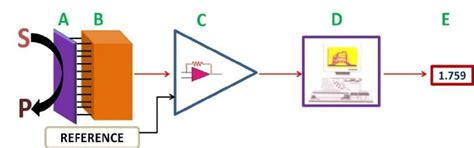 Biosensor Principle Components Types And Their Applications