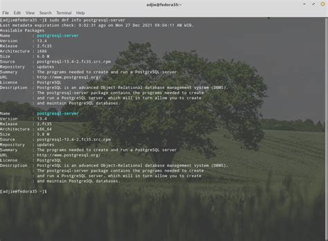 how to install postgresql 14 on fedora 35 server