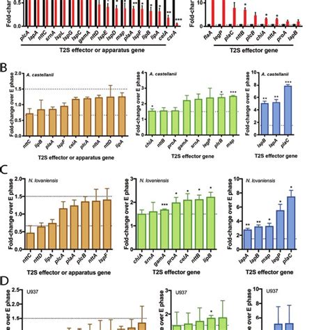 Relative Expression Levels Of Genes Encoding Type Ii Secreted Proteins