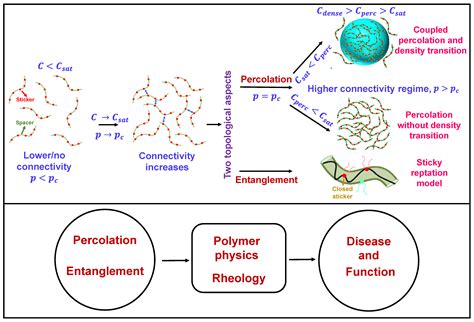 Biomolecules Free Full Text Topological Considerations In