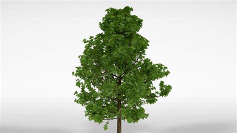 how to make a tree in blender 2 72 easy and fast blendernation