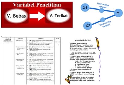 Variabel Bebas Terikat Kontrol Biologi Materi Belajar Online