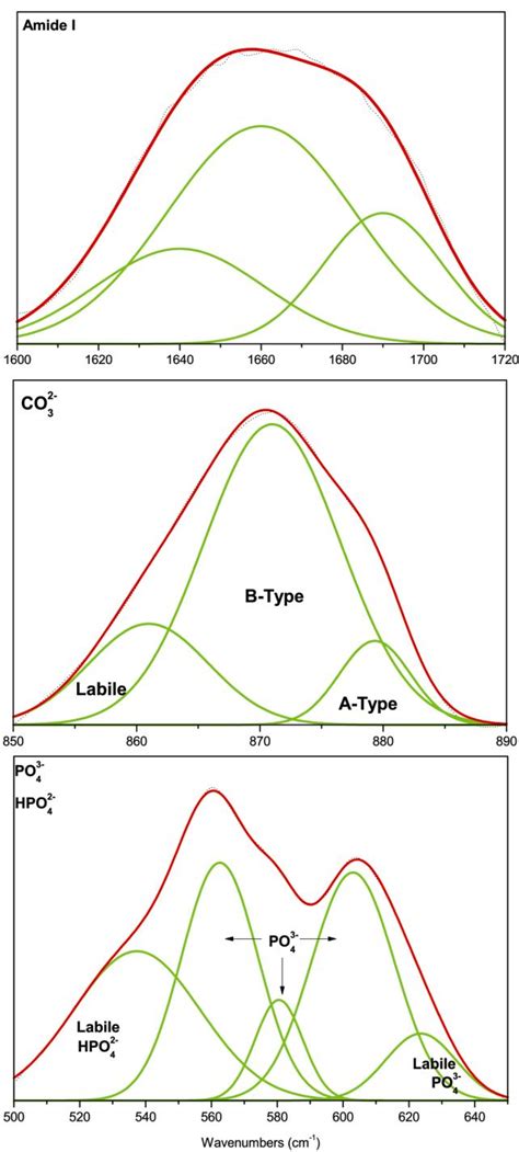 typical curve fitting analysis of po4 3 v4 co3 2 v2 and amide i ir