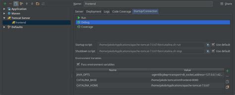 passing environment variables to tomcat have no effect ides support
