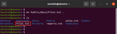 lfca learn basic file management commands in linux part 2