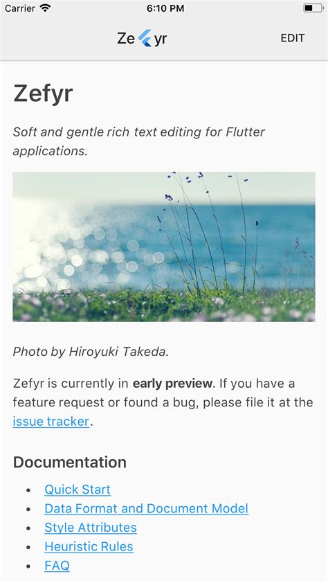 zefyr 1 soft rich text editing free flutter source code