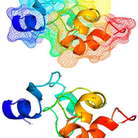 Showing A Tertiary Structure Of Candidate Vaccines A Tertiary