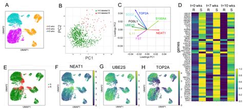 Principal Component Analysis And Differential Gene Expression Analysis