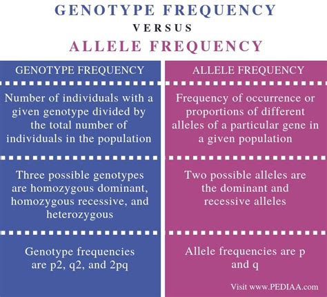 What Is The Difference Between Genotype Frequency And Allele Frequency