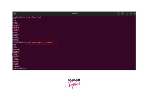 How To Use Regular Expression In Linux Scaler Topics
