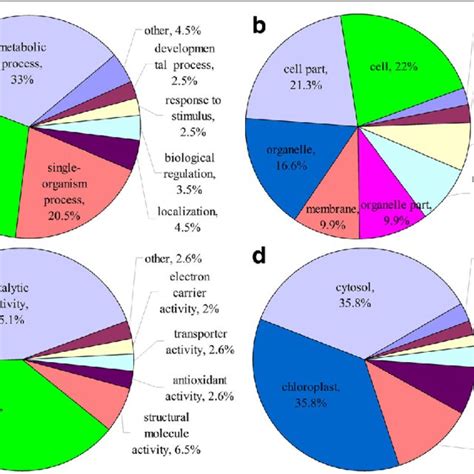 Pie Charts Showing The Functional Classification Of Succinylated
