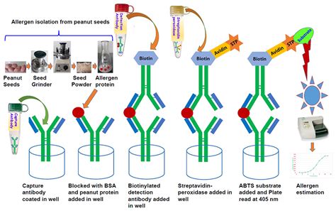 Frontiers An Improved Enzyme Linked Immunosorbent Assay Elisa Based