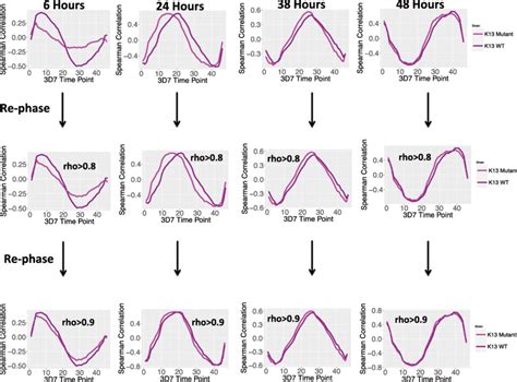 the di algorithm identifies genes responsible for idc correlation