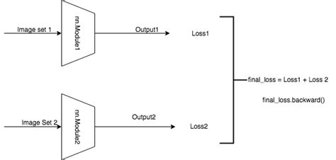 two different networks combined loss back propagation and optimizer