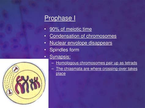 Meiosis Chapter Ppt Download
