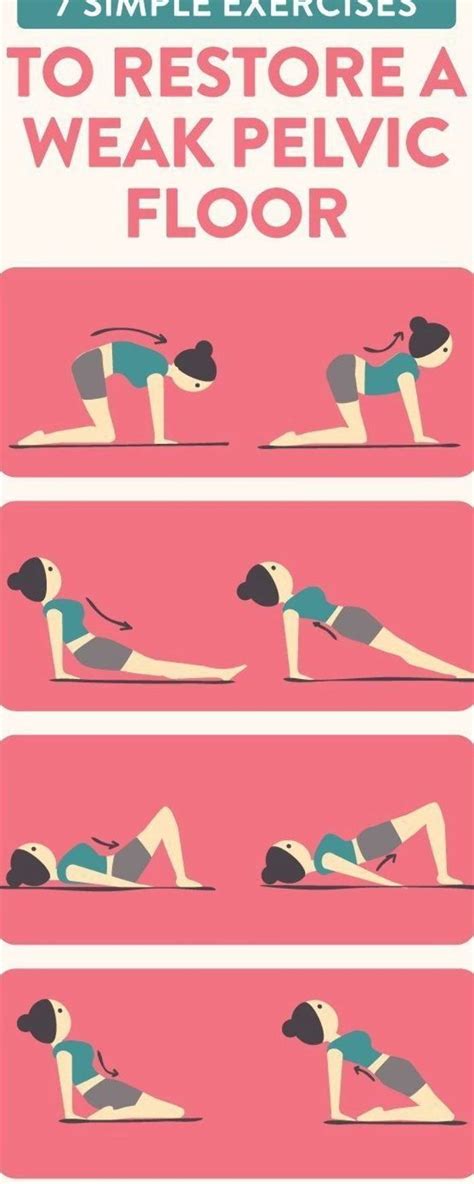 Printable Seated Pelvic Floor Exercises