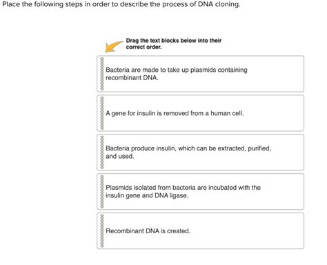 Solved Place The Following Steps In Order To Describe The