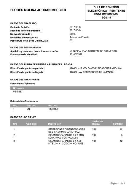 Guía De Remisión Remitente Electrónica Ejemplo Secretariado