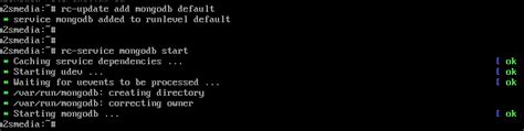 how to install mongodb server on alpine linux linux shout