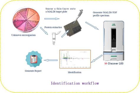 Maldi Tof Microbial Mass Spectrometer Zhuhai Meihua Medical Technology