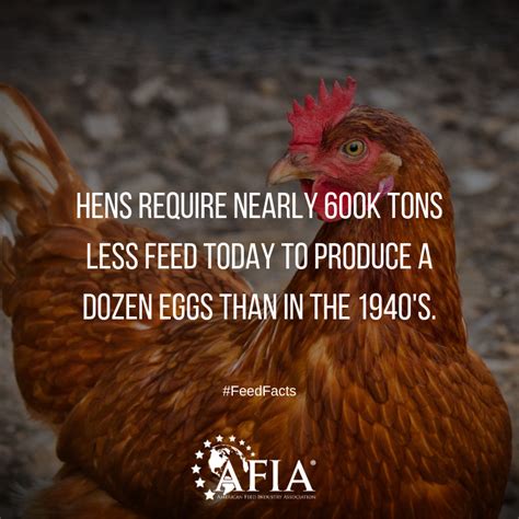Welcome Back To Ag Fact Friday Did Aurora Ffa Chapter