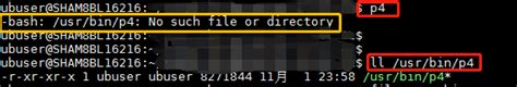 [solved] linux execute file error no such file or directory bit