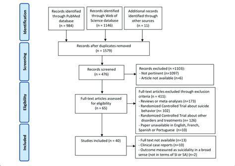 Prisma Flow Diagram Summarizing The Systematic Literature Review And