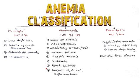 Classification Of Anemia Morphological And Etiological Classification