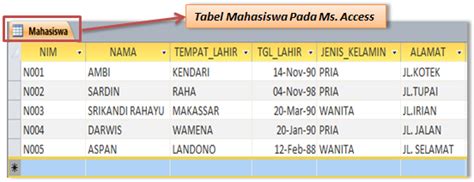 cara mudah menampilkan data dari ms access ke ms excel