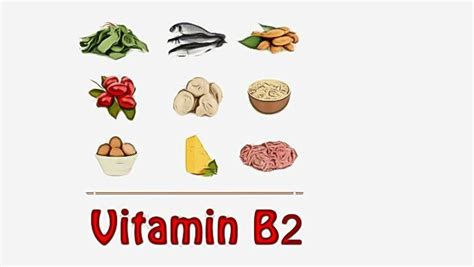 List Of Foods High In Vitamin B Complex You Should Know