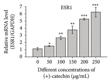 Comparison Of The Expression Levels Of Esr1 A And Cat B Among